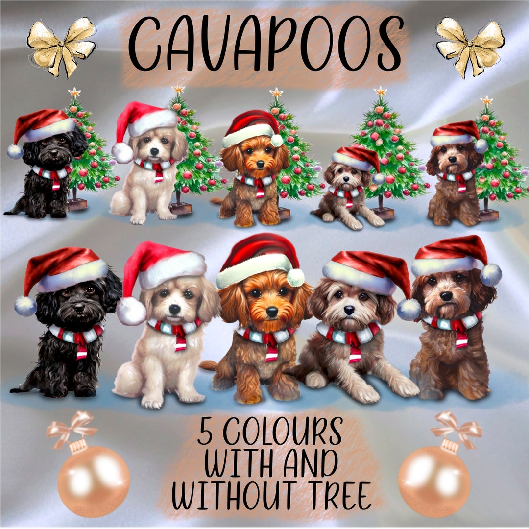 Cute Christmas Cavapoo Pngs. 5 Cockapoo’s With Hat and Scarf, on Their ...