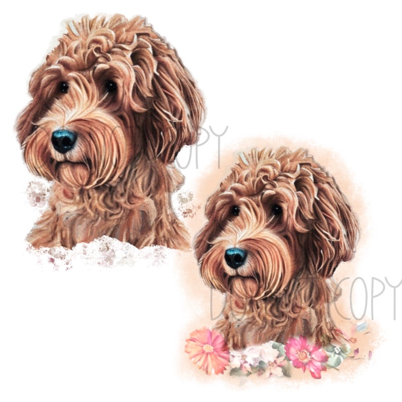 Cute Cockapoos. 5 Different Cockapoos, With and Without Flowers, 10 PNG ...