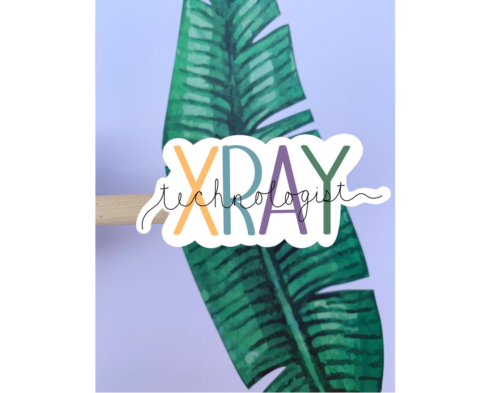 Xray Sticker Xray Tech Sticker Xray Student Xray | Etsy