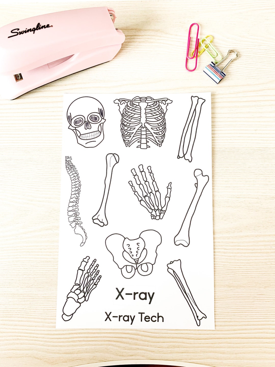 Xray Sticker Sheet, Bones Sticker Sheet, Skeleton Sticker Sheet, Xray ...