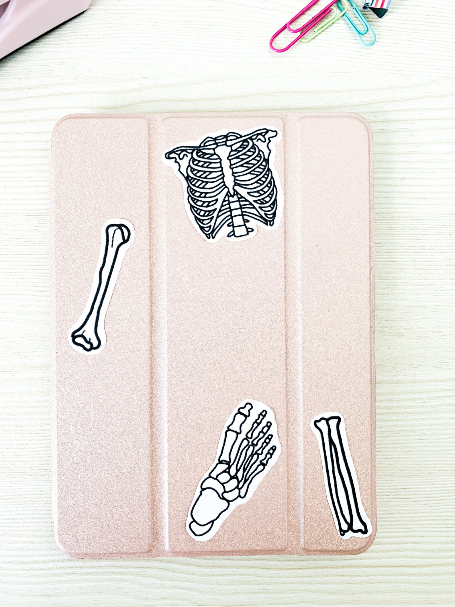 Xray Sticker Sheet Bones Sticker Sheet Skeleton Sticker - Etsy