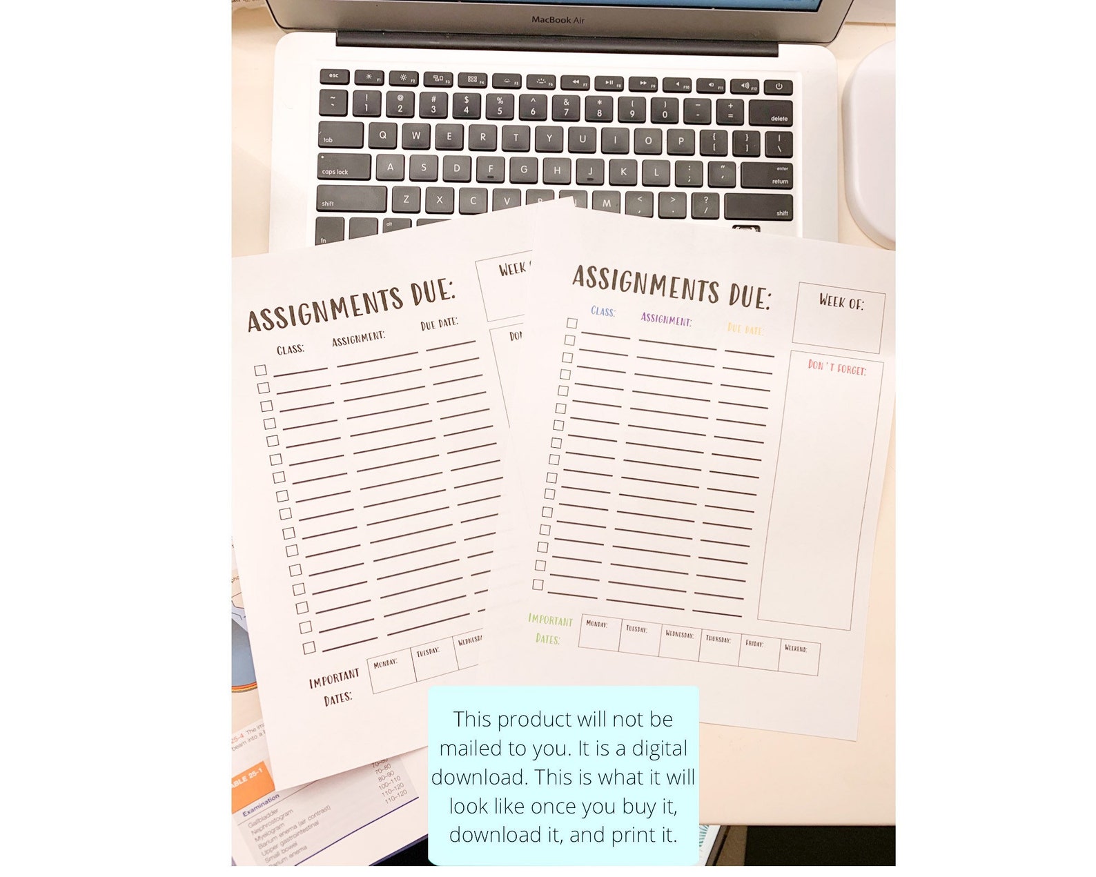 Weekly Assignment School Organization Digital School | Etsy