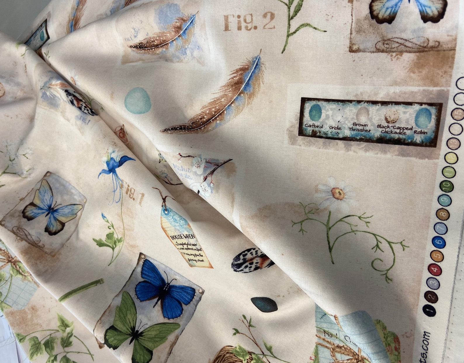 Beautiful Natural Elements Nature Study Allover | Etsy