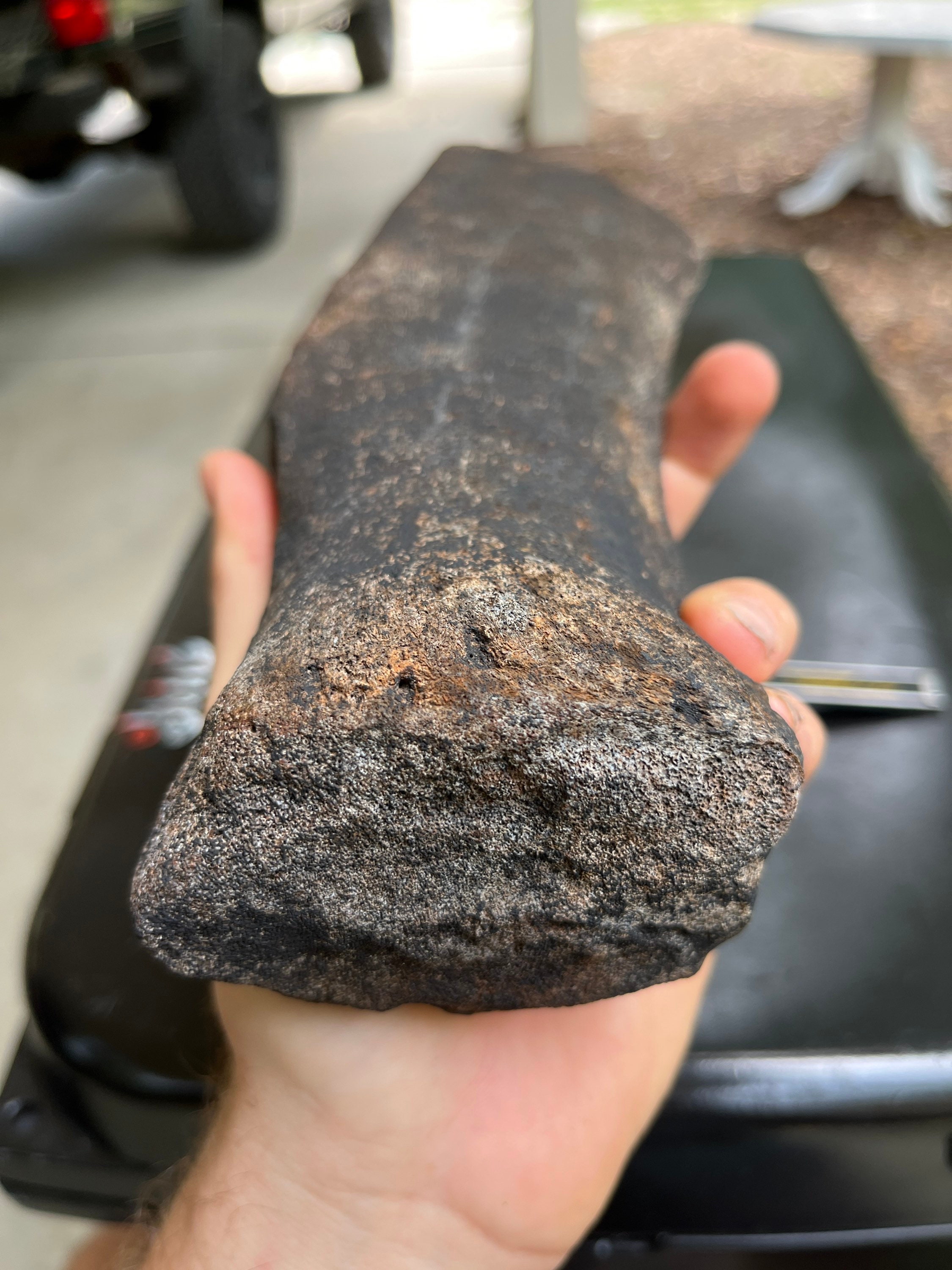 1 Real Fossilized MYSTICETI RIB BONE Section. Found Firsthand Diving in ...