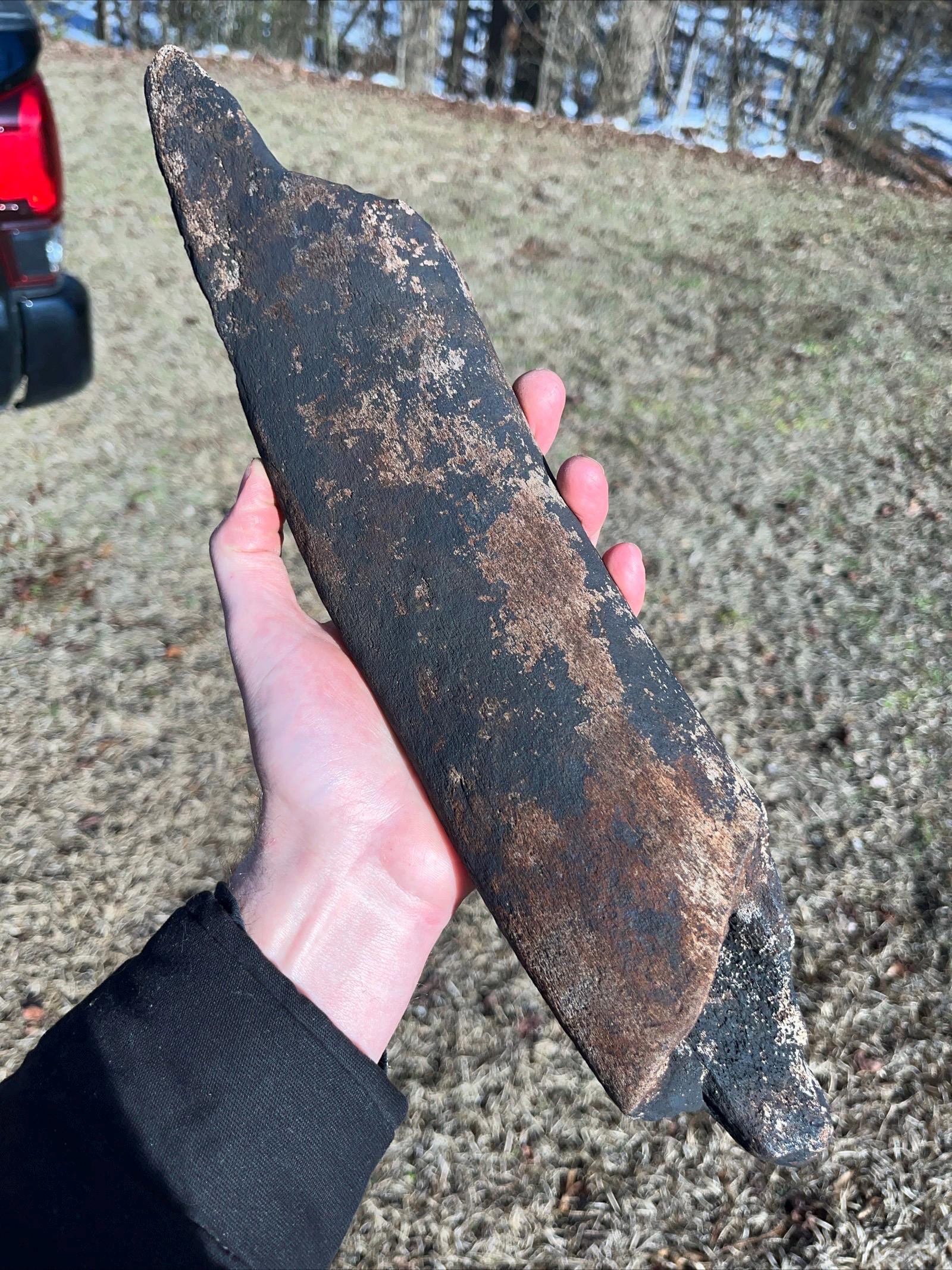 1 Large Authentic / Real / Extinct /fossilized Mysticeti Rib Bone, NOT ...