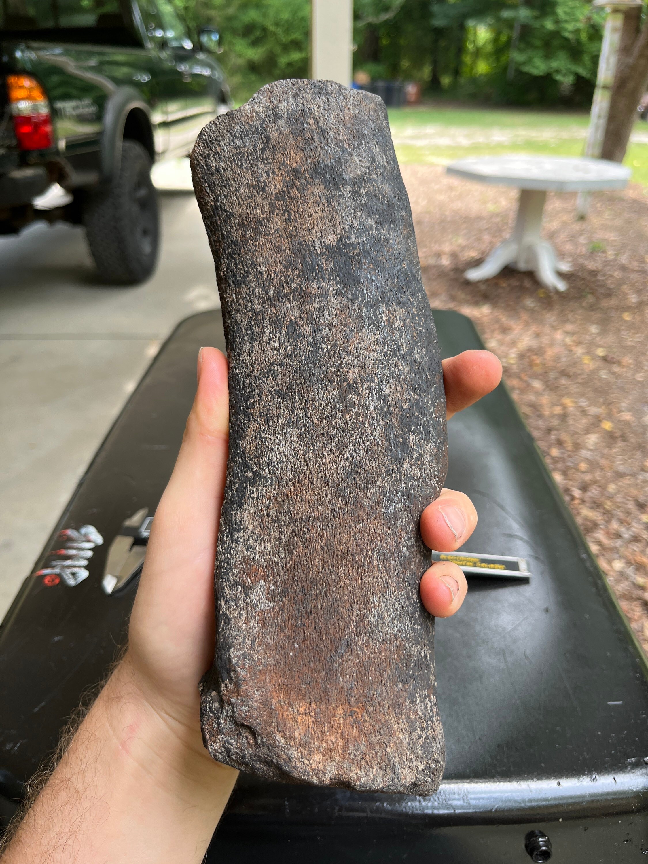 1 Real Fossilized MYSTICETI RIB BONE Section. Found Firsthand Diving in ...