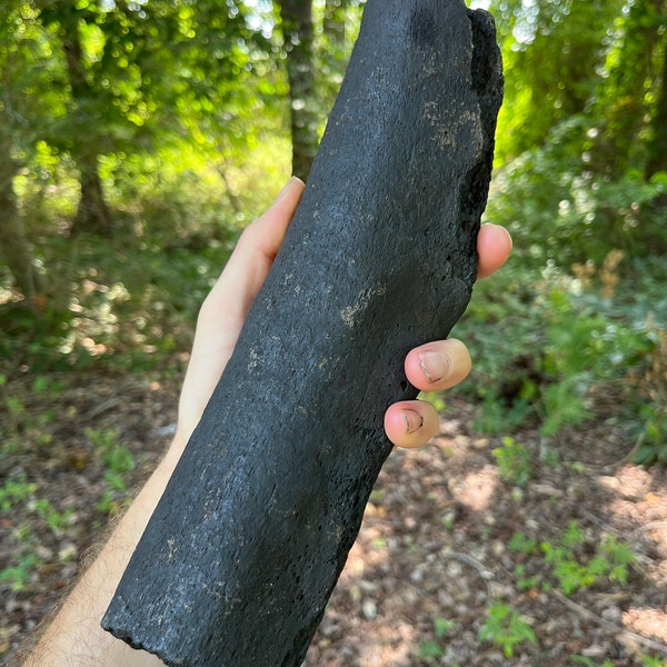 Petrified Whale Bone - Etsy