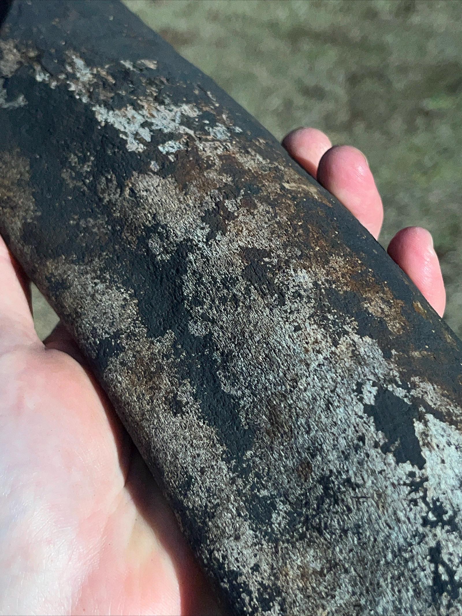 1 Large Authentic / Real / Extinct /fossilized Mysticeti Rib Bone, NOT ...