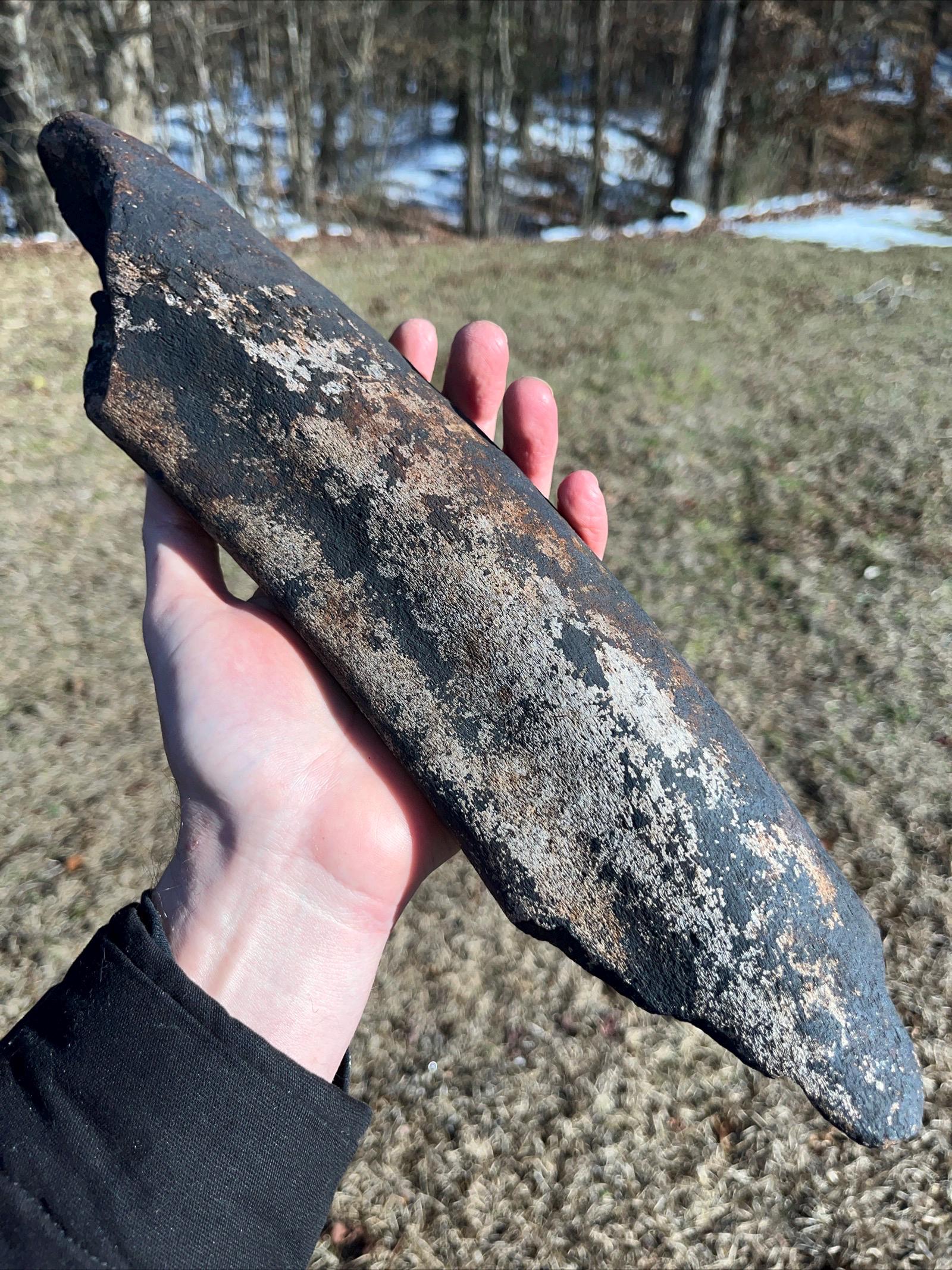 1 Large Authentic / Real / Extinct /fossilized Mysticeti Rib Bone, NOT ...