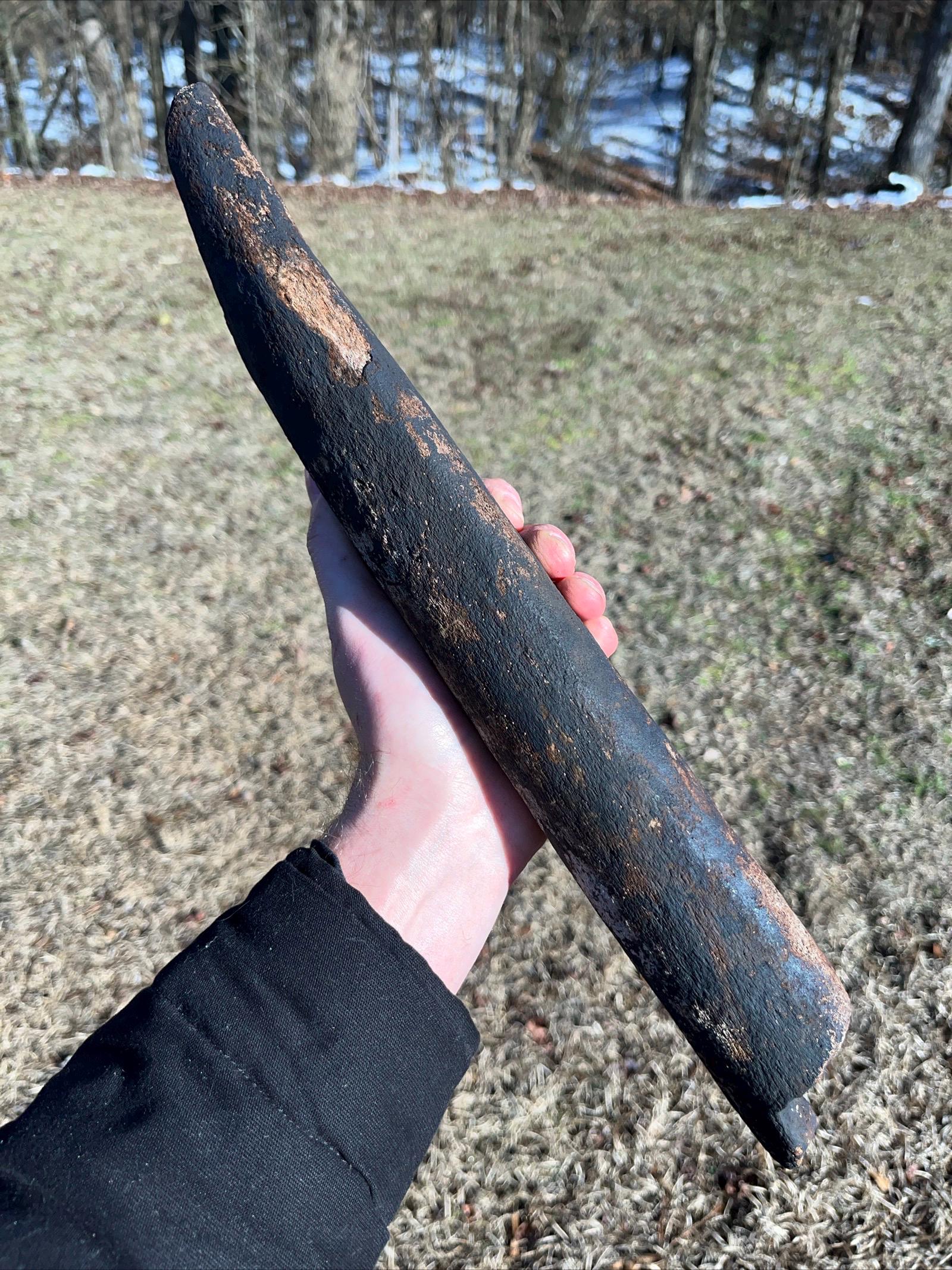 1 Large Authentic / Real / Extinct /fossilized Mysticeti Rib Bone, NOT ...