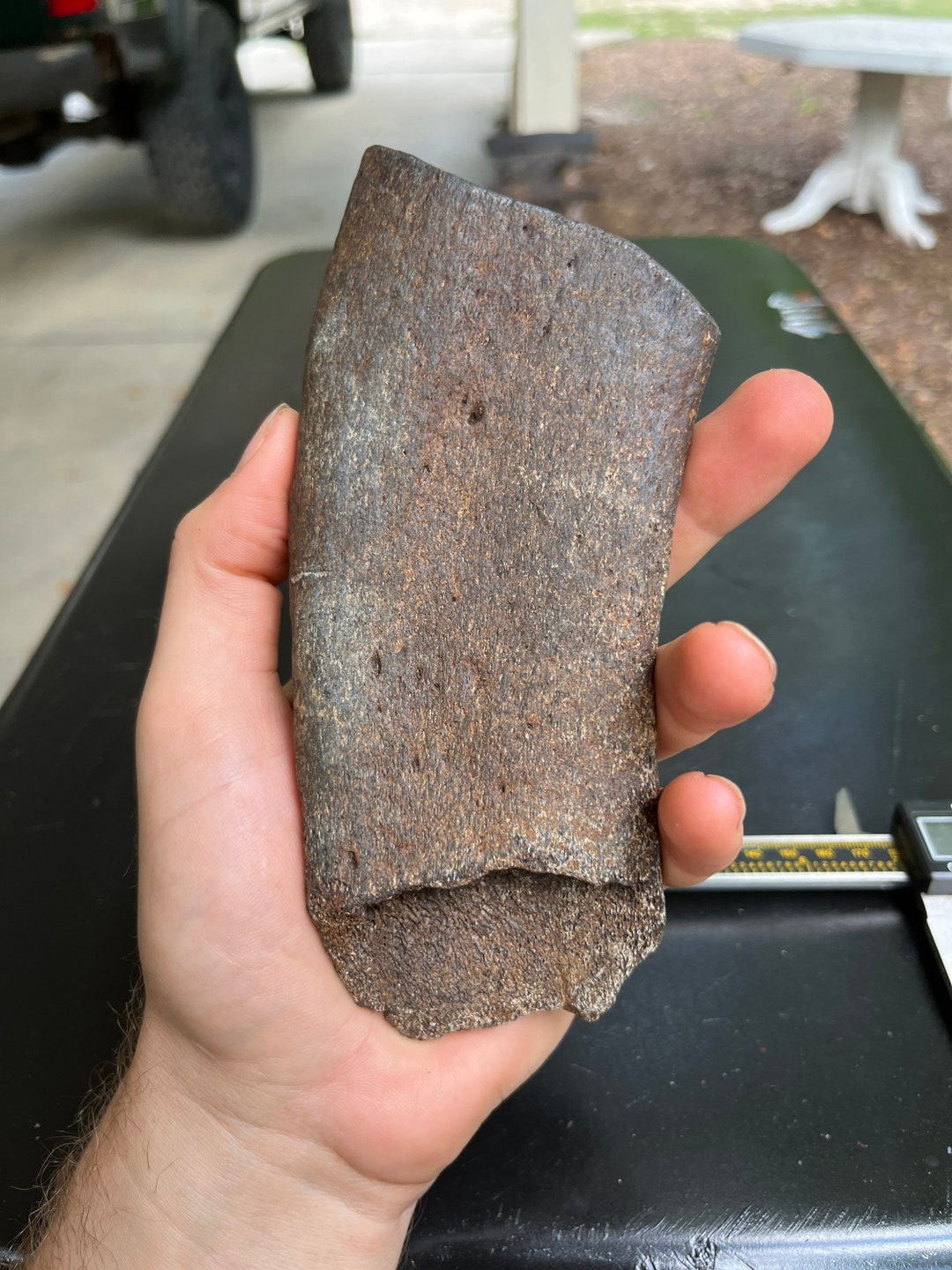 1 Real Fossilized MYSTICETI RIB BONE Segment, Found Firsthand Diving ...