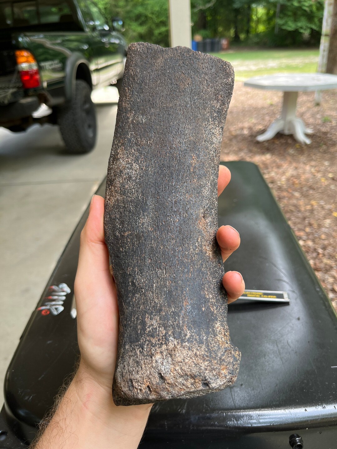 1 Real Fossilized MYSTICETI RIB BONE Section. Found Firsthand Diving in ...