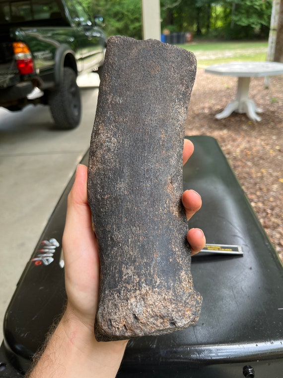 1 Real Fossilized MYSTICETI RIB BONE Section. Found Firsthand - Etsy