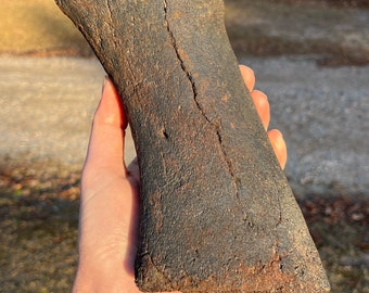 1 Large Authentic / Real / Extinct /fossilized Mysticeti Rib Bone, NOT ...