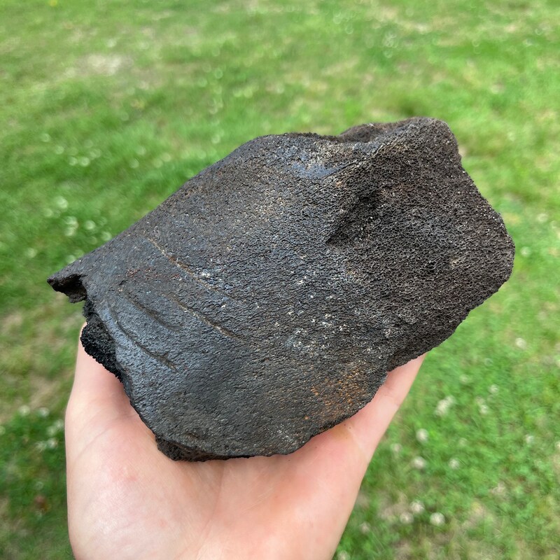 Petrified Whale Bone - Etsy