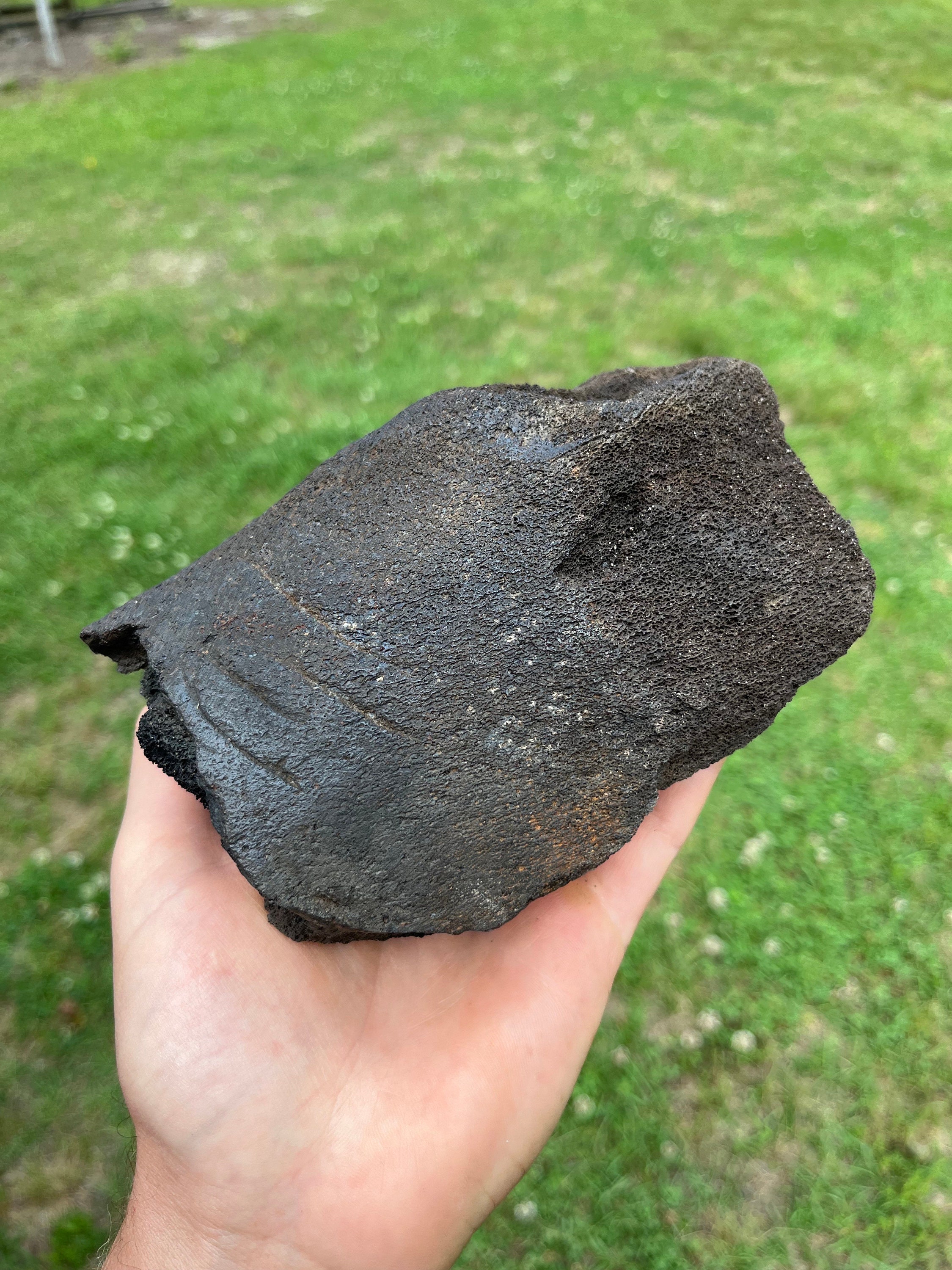 1 Large Authentic / Real / Extinct /fossilized Mysticeti Rib Bone With ...