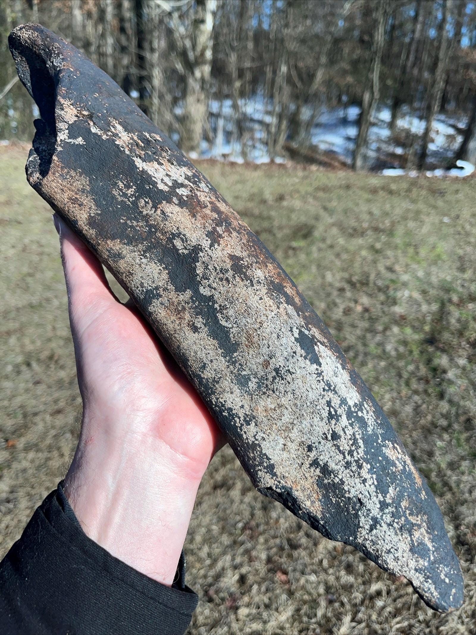1 Large Authentic / Real / Extinct /fossilized Mysticeti Rib Bone, NOT ...