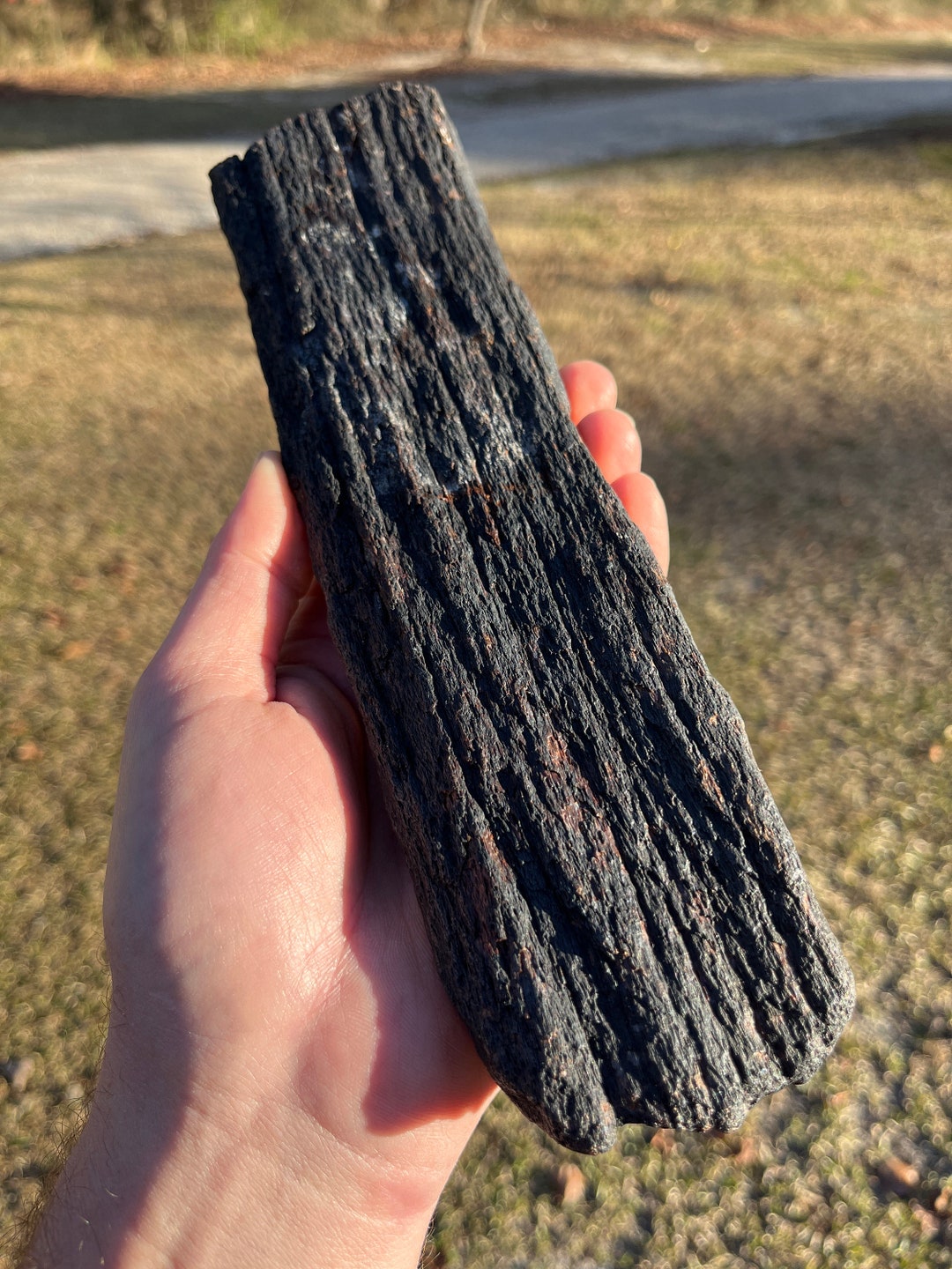 1 Large Authentic / Real / Extinct /fossilized Mysticeti Rib Bone, NOT ...