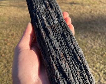 1 Large Authentic / Real / Extinct /fossilized Mysticeti Rib Bone, NOT ...