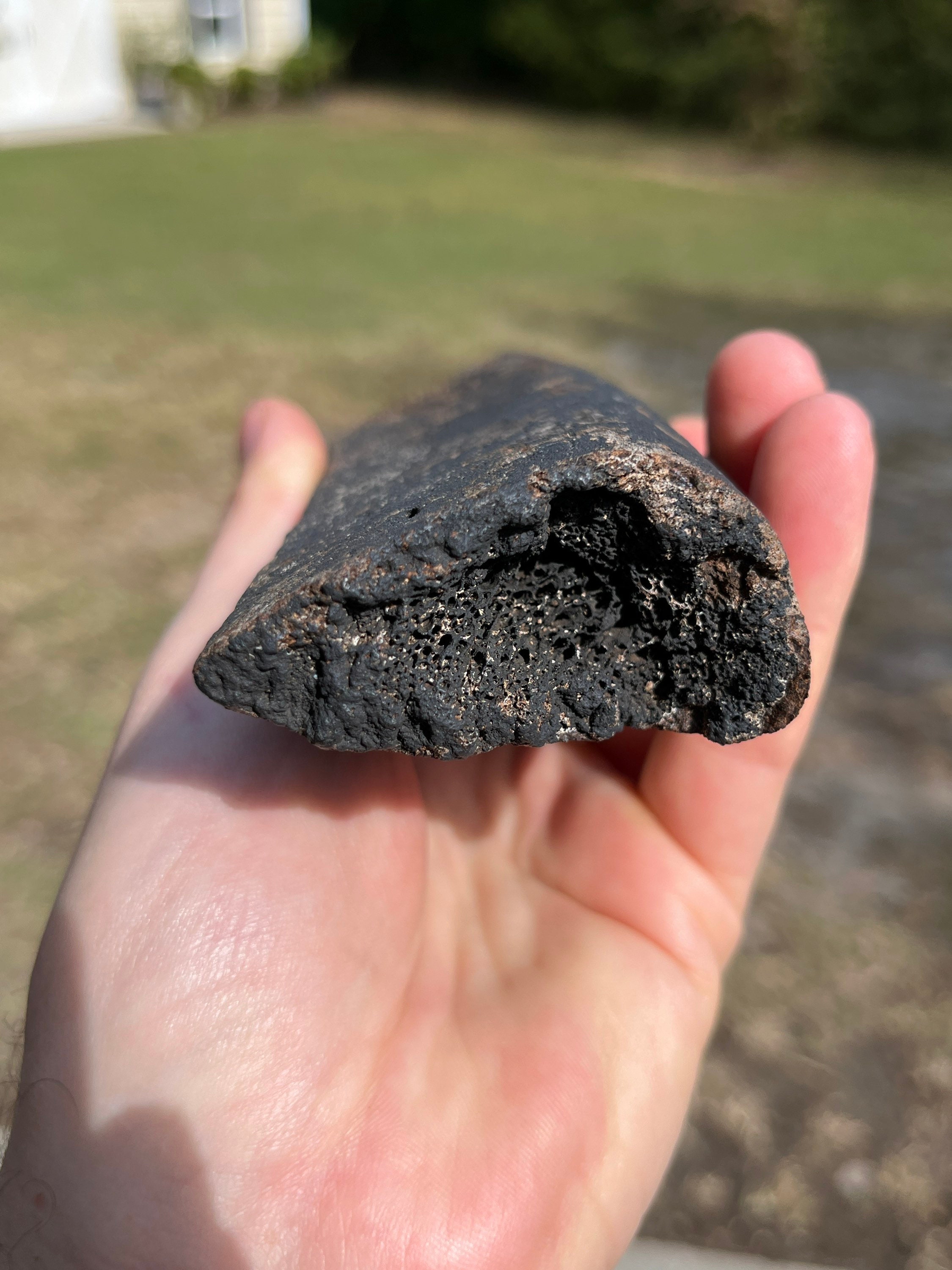 Real Fossilized Mysticeti Rib Bone Fragment Miocene Era - Etsy