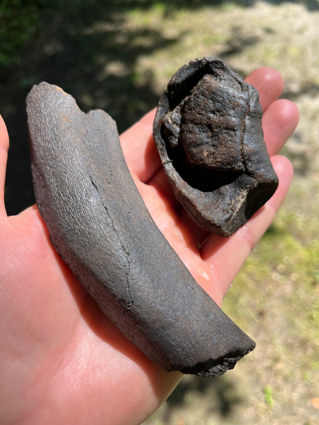 1 “tympanic Bulla” Fossil - Mysticeti Inner Ear Bone, and Same Species ...