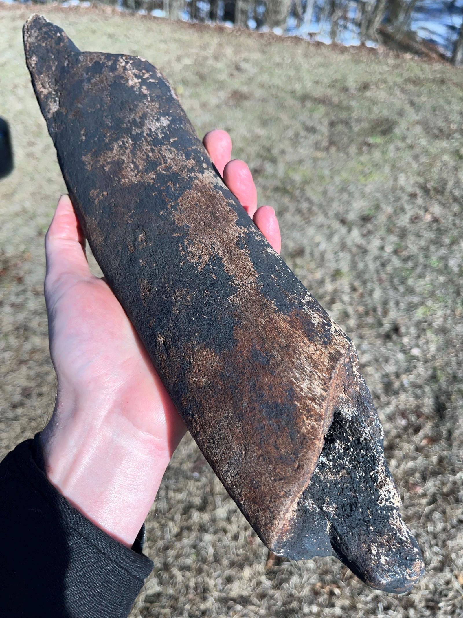 1 Large Authentic / Real / Extinct /fossilized Mysticeti Rib Bone, NOT ...