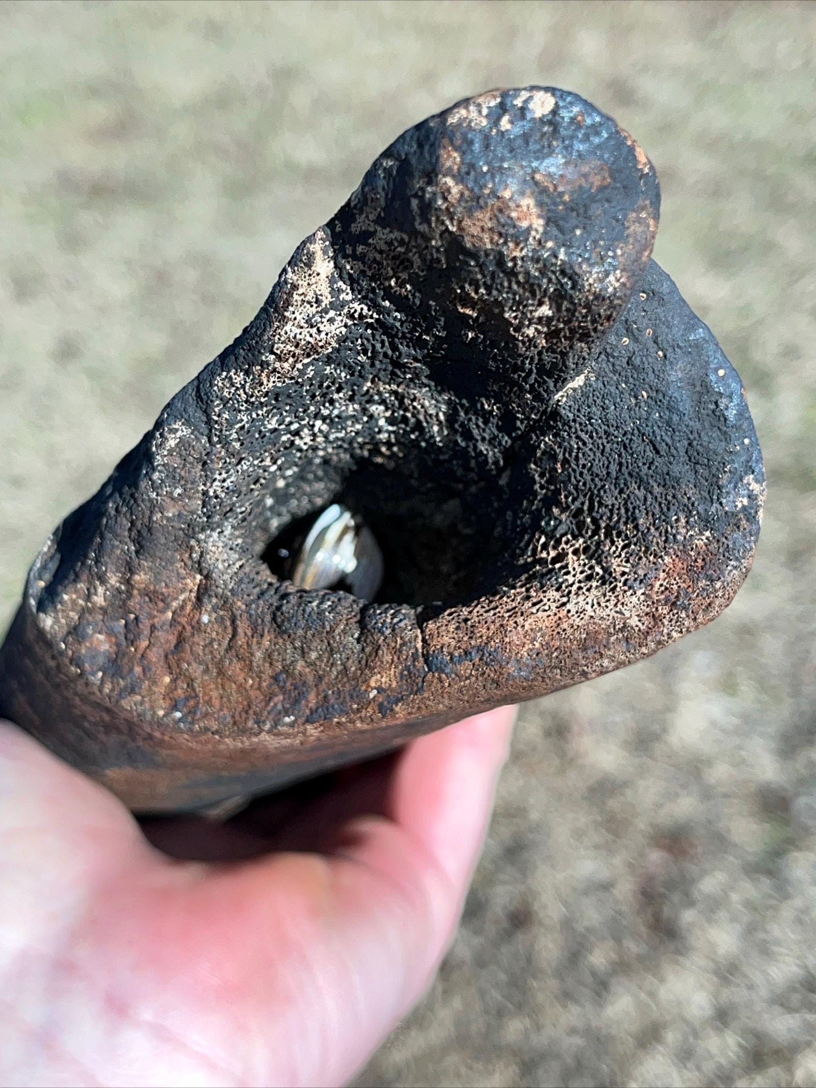 1 Large Authentic / Real / Extinct /fossilized Mysticeti Rib Bone, NOT ...