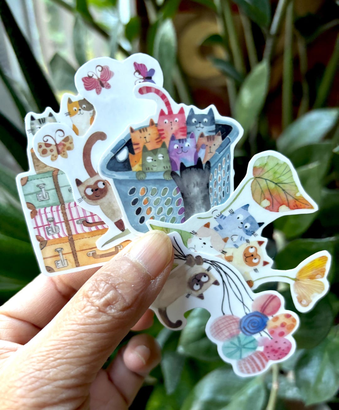 Watercolor Cat Stickers: Vinyl Stickers Set of 5, White Background - Etsy