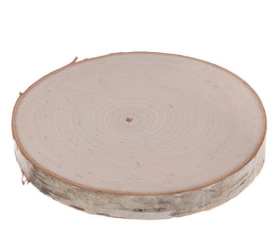 White Birch Tree Coaster Round Slice Wooden Disk Sizes: - Etsy