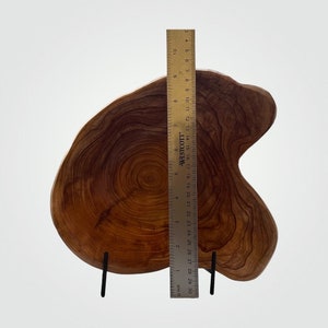 Shan Mu Wood Bowl (M), Natural Wood Rings, Decorative Bowl, Root Carved ...