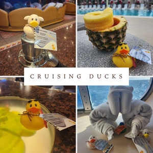 Customized Duck Tags: Riddle Cruise / Customized With Your Personal ...