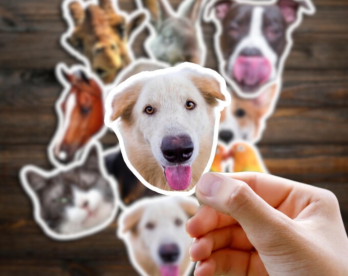 Personalized Dog Stickers - Hand Drawn | Custom Pet Sticker, Custom Dog ...