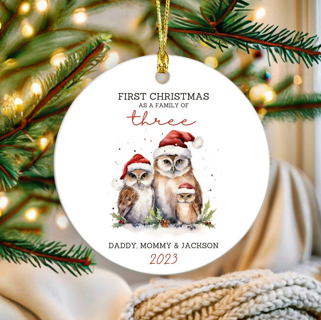 Personalized First Christmas as Family of 3, Owls Family of Three ...