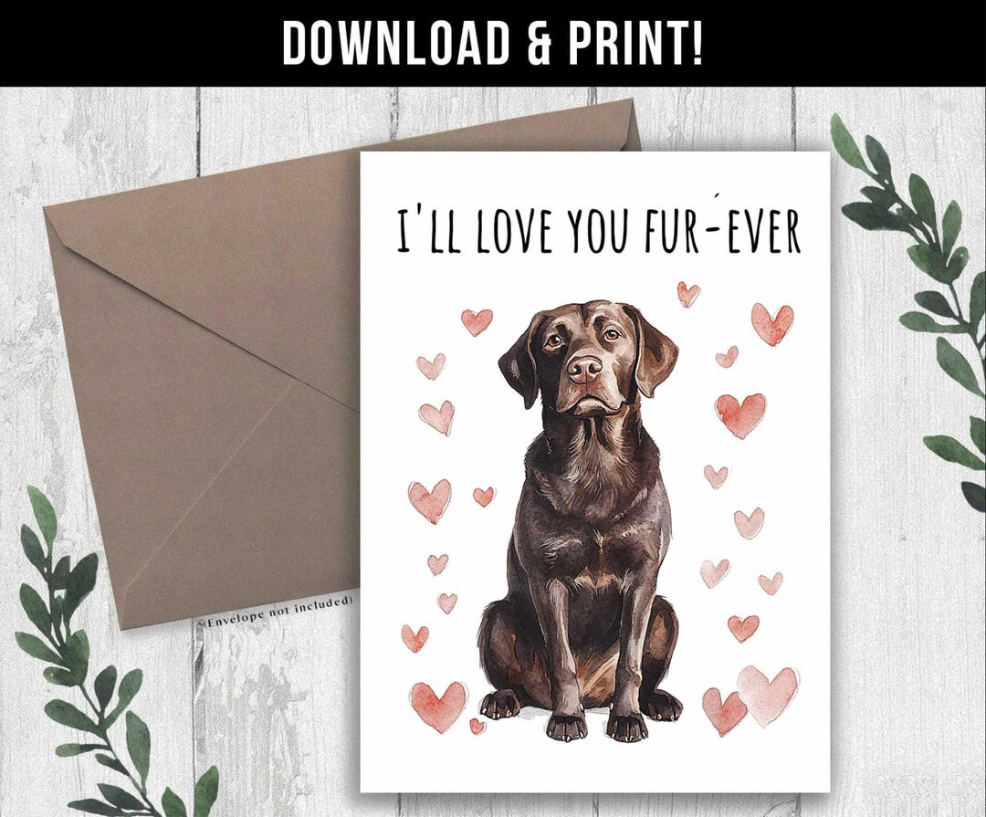 DIGITAL DOWNLOAD Chocolate Labrador Valentines Card, Funny Labrador ...