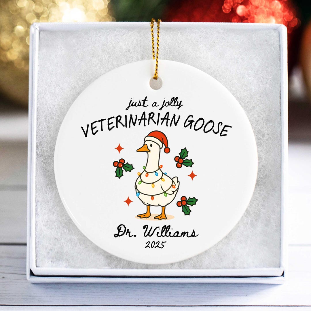Personalized Silly Goose Veterinarian Ornament, Custom Name Jolly Goose ...