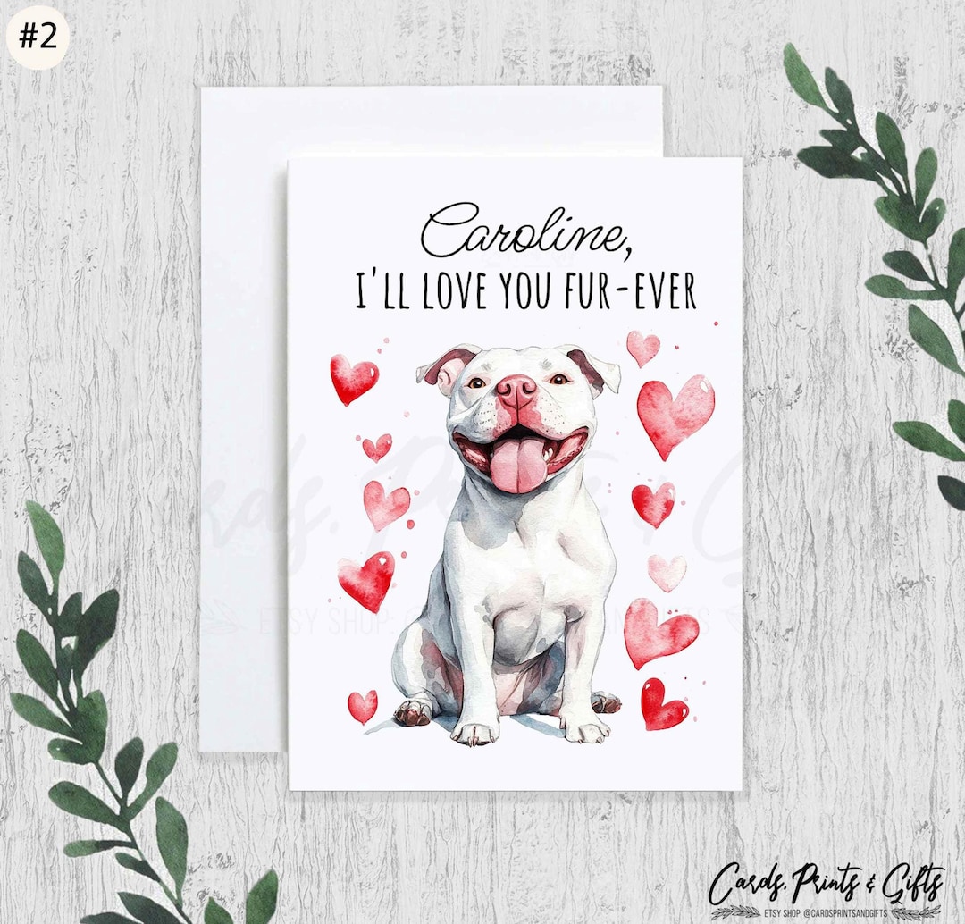 Personalized White Pitbull Terrier Dog Valentines Card, Funny Pitbull ...