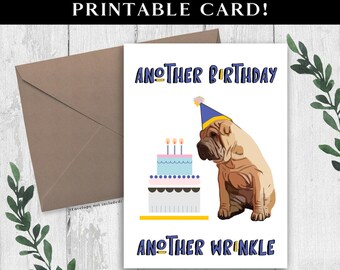 Shar Pei Birthday Card | Etsy