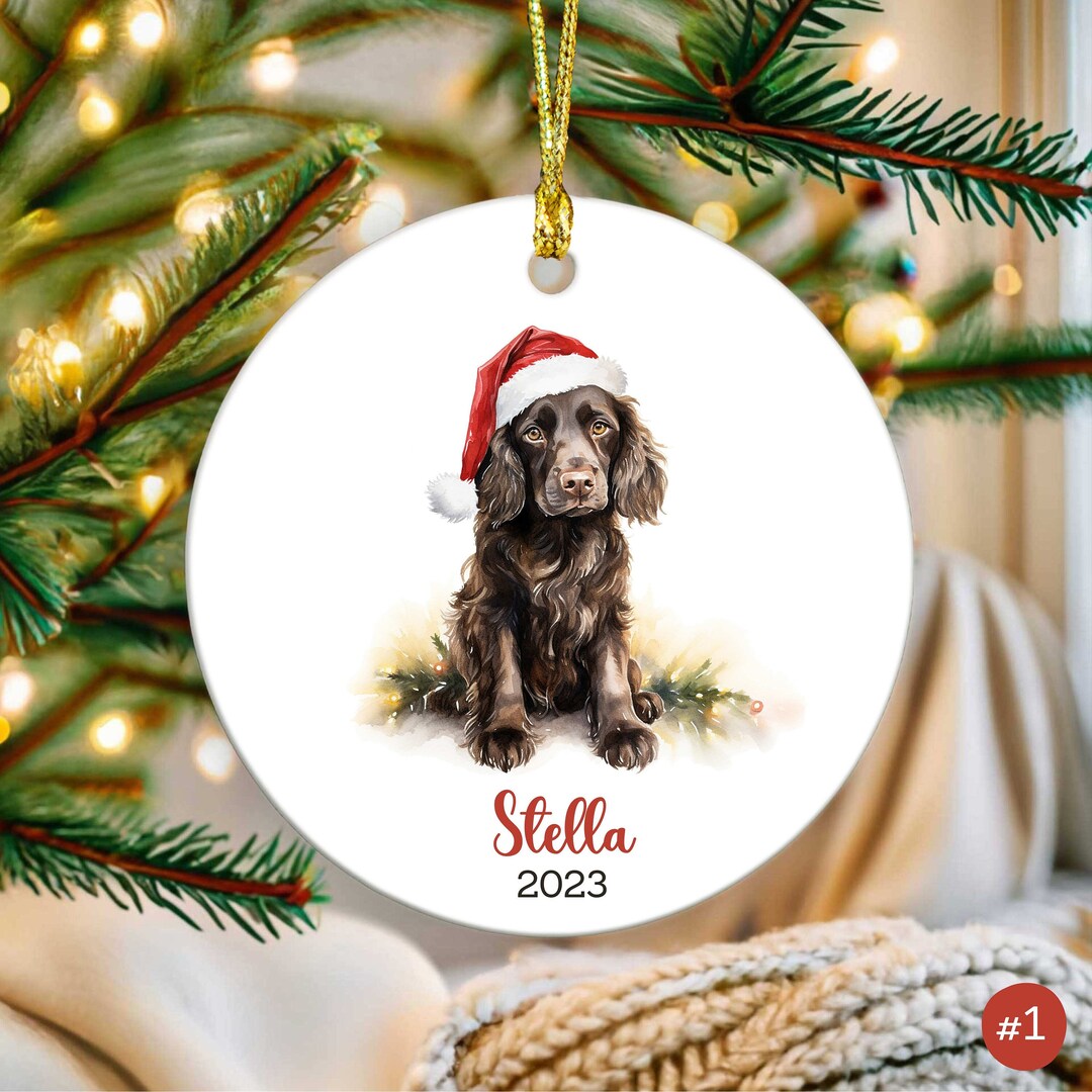 Personalized Boykin Spaniel Ornament, Custom Dog Ornament 2023, Boykin ...