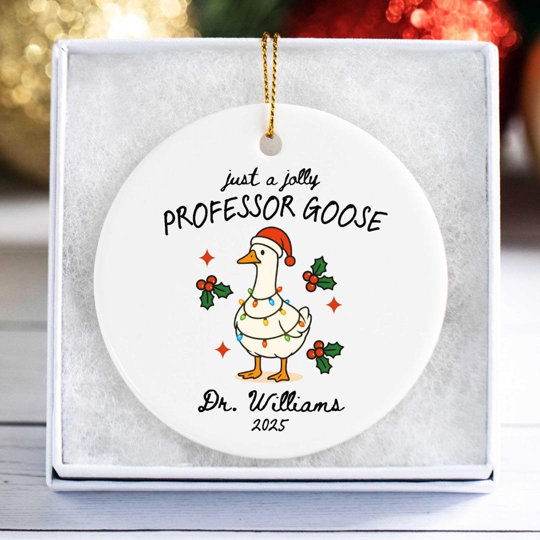 Personalized Silly Goose Professor Ornament, Funny Custom Name ...