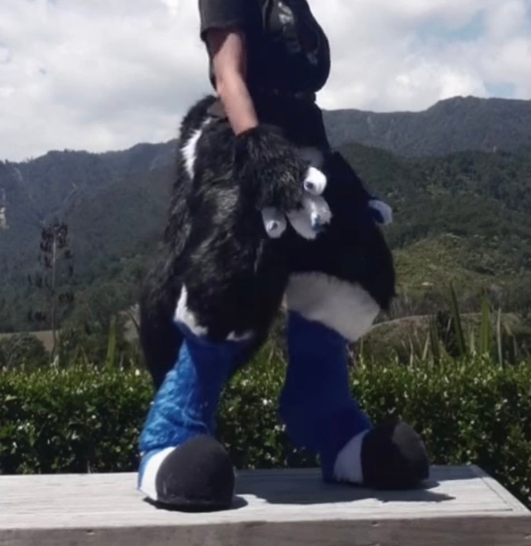 Fursuit Legs COMES UNSTUFFED - Etsy Finland