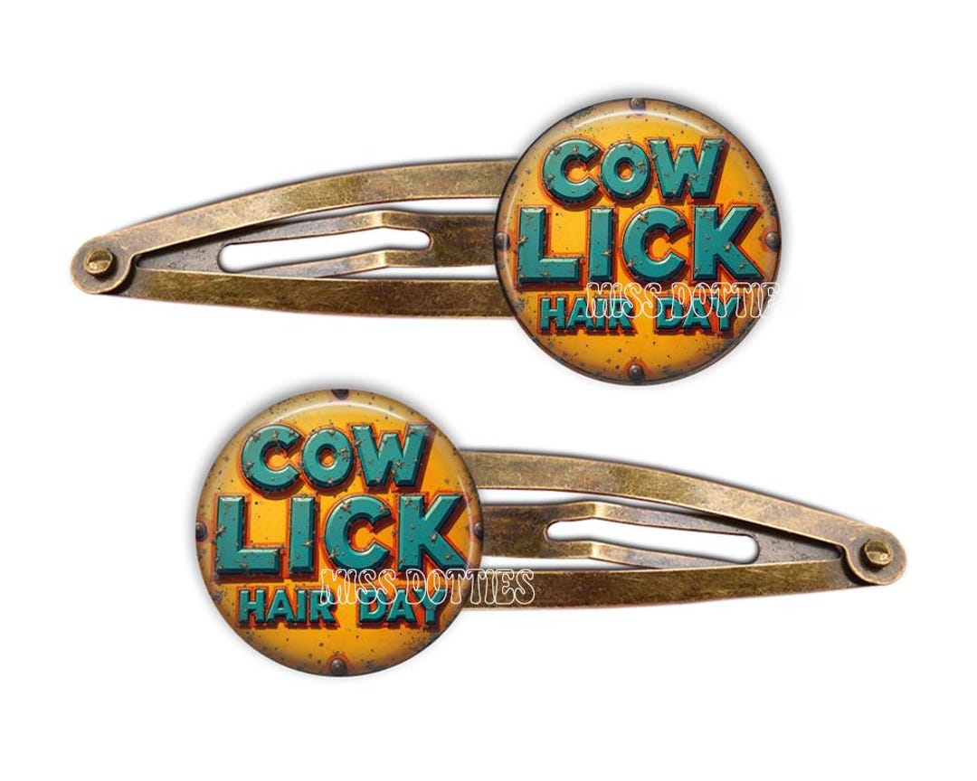 Hair Clip, Hair Pin, Barrettes, Snap Hair Clips, Bobby Pins, Cow Hair ...