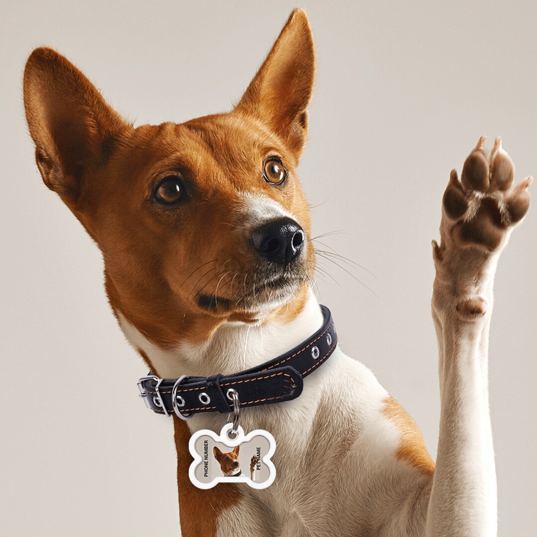 QR Code Dog Tag With Your Own Photo, Personalized Dog Tags Pet Name ...