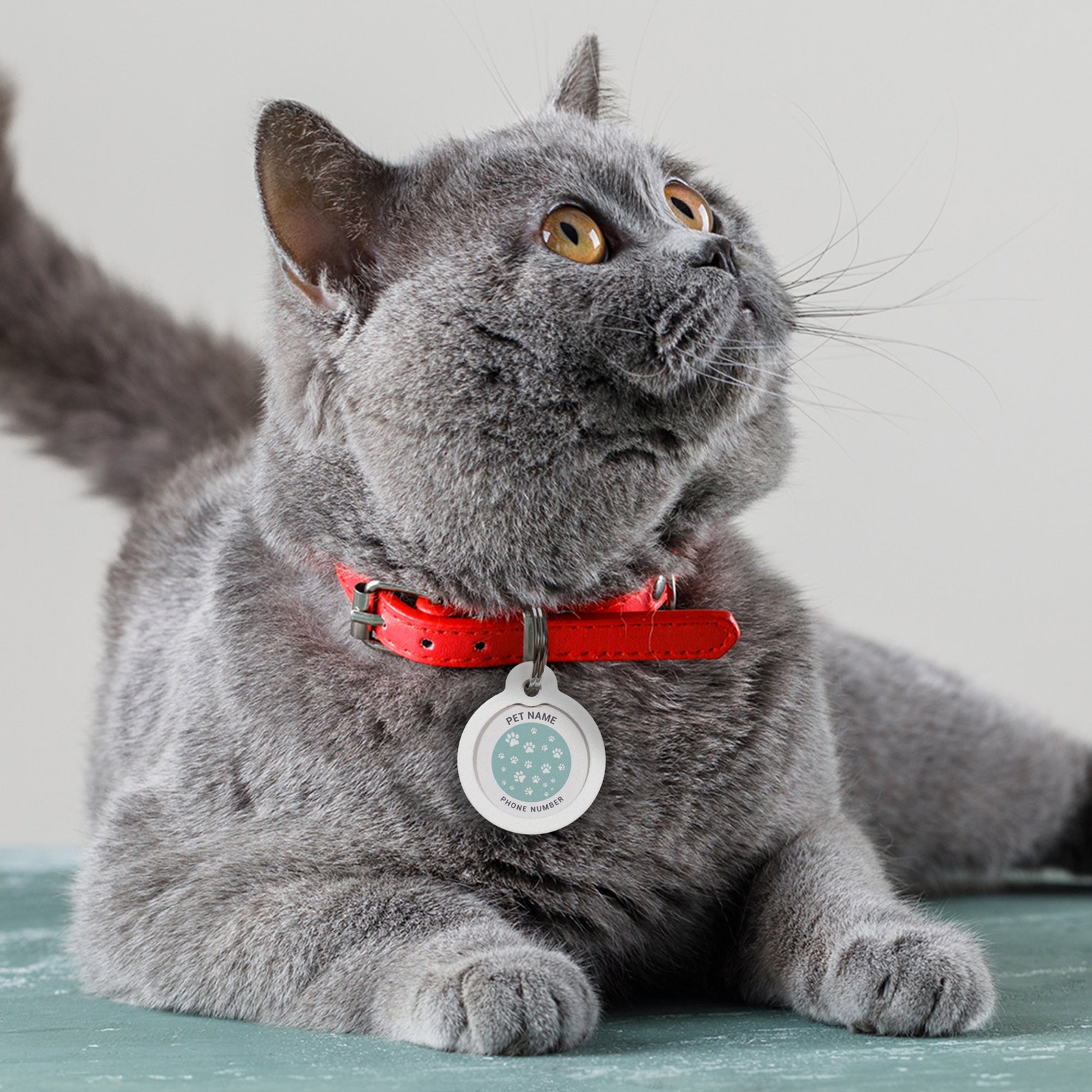 Silent Cat Id Tag QR Code, Personalized QR Code Cat Kitten Id Tag ...