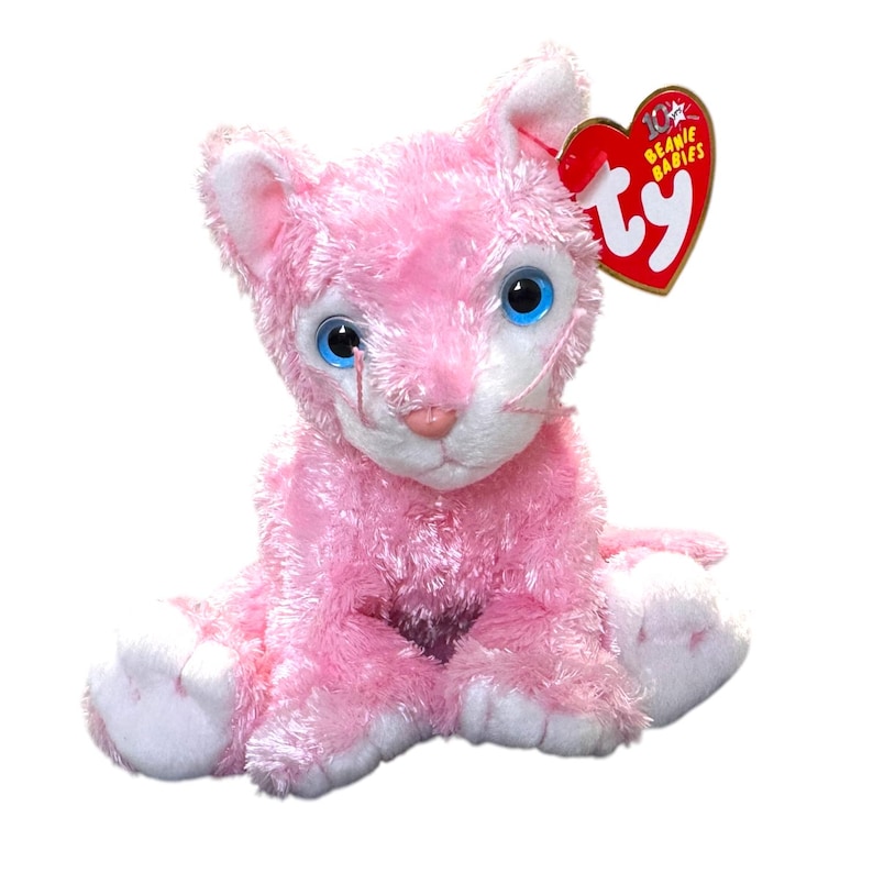 Ty Beanie Babies Cats Amber, Silver, Scat, Fancy, Fussy, Frisco ...