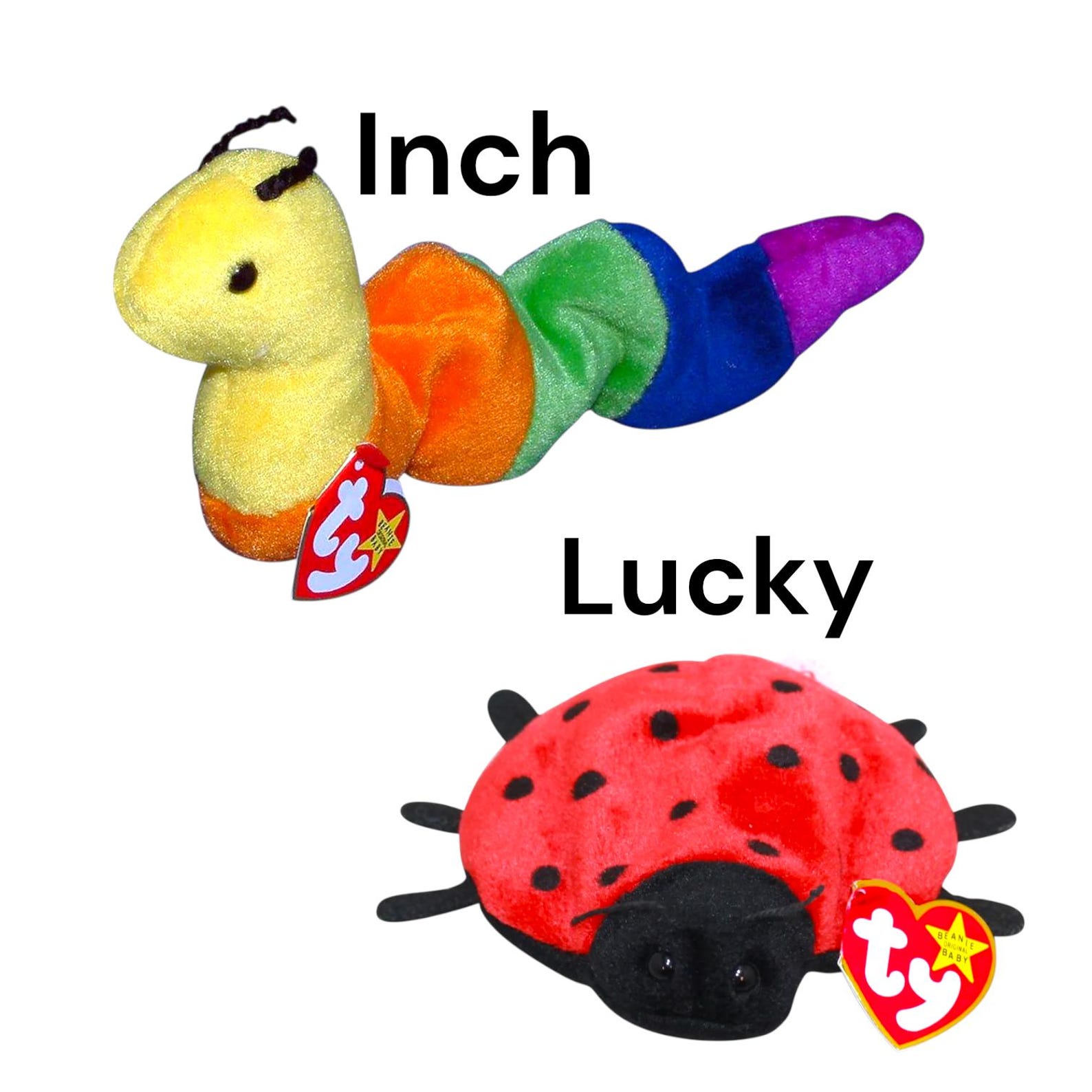 Ty Beanie Babies Bugs Insects Lucky, Inch, Twitterbug, Glow, Countess ...