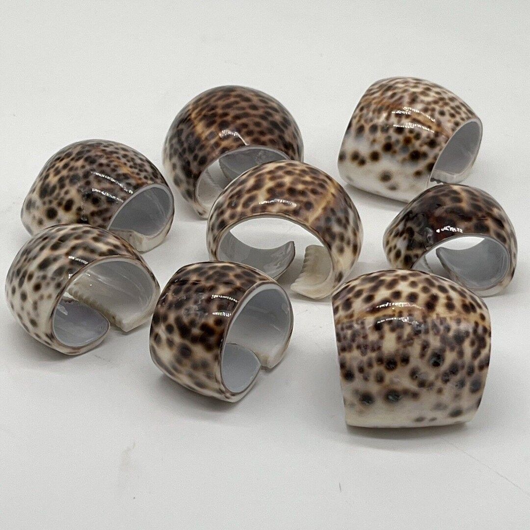 Leopard Cowrie Shell Napkin Ring Holders Natural Seashell Handmade ...
