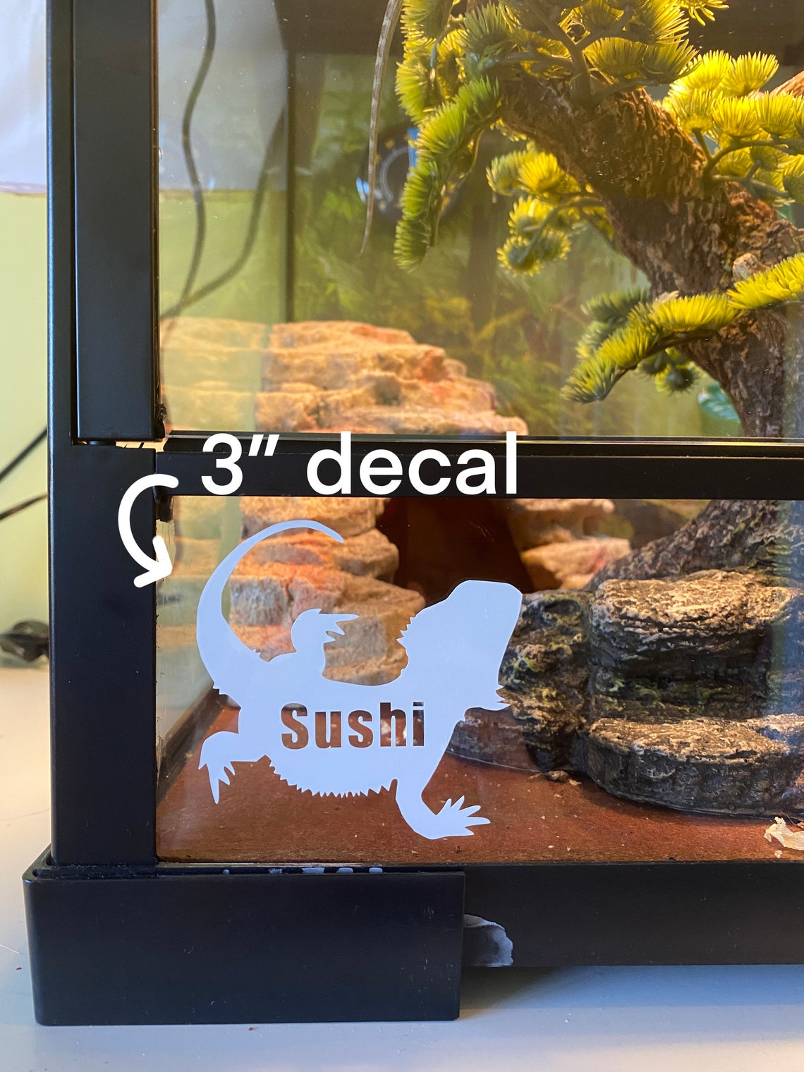 Frog Decal Custom Decal Car Decal Frog Sticker Custom Frog | Etsy