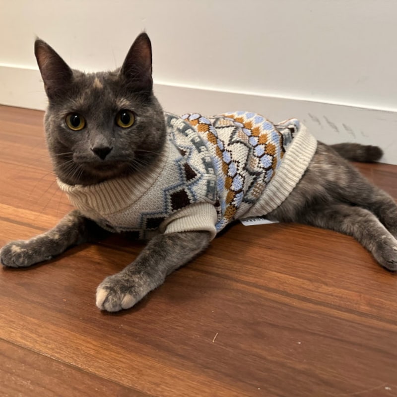 Cat Sweater - Etsy