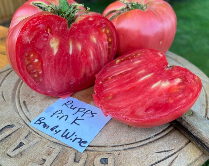 Rupp's Pink Brandywine Tomato Seeds - Etsy