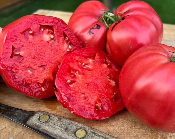 Rupp's German Pink Tomato Seeds - Etsy